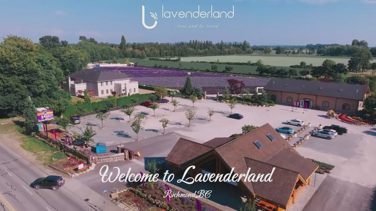 Lavenderland